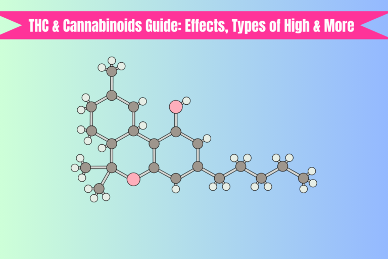 THC & Cannabinoids Guide: What They Do & Why They Matter