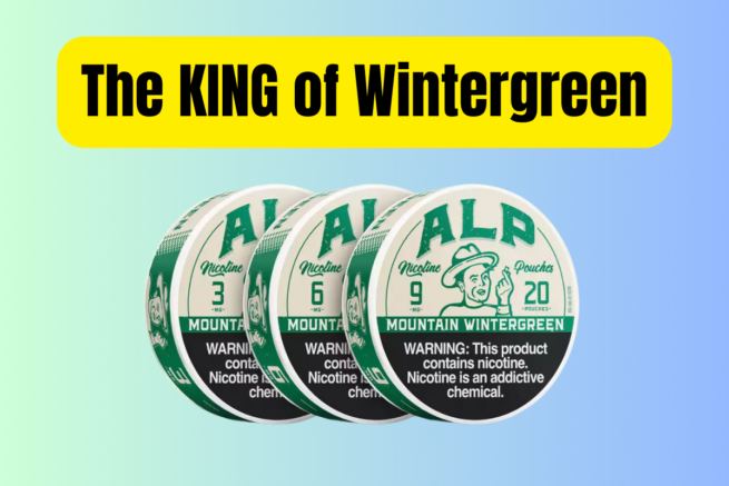 ALP Pouch Review: Why I Ditched ZYN & Haven't Looked Back